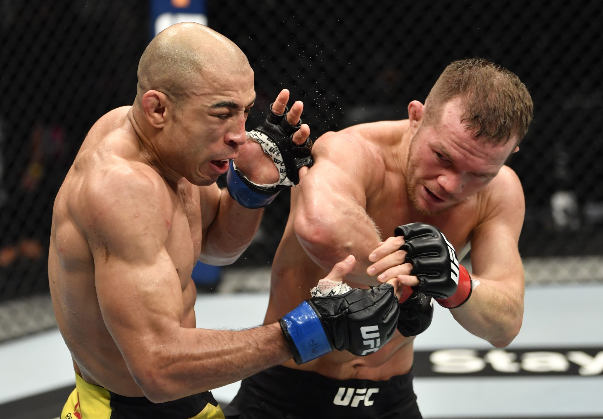 Bantamweight: The UFC’s Best Division Right Now